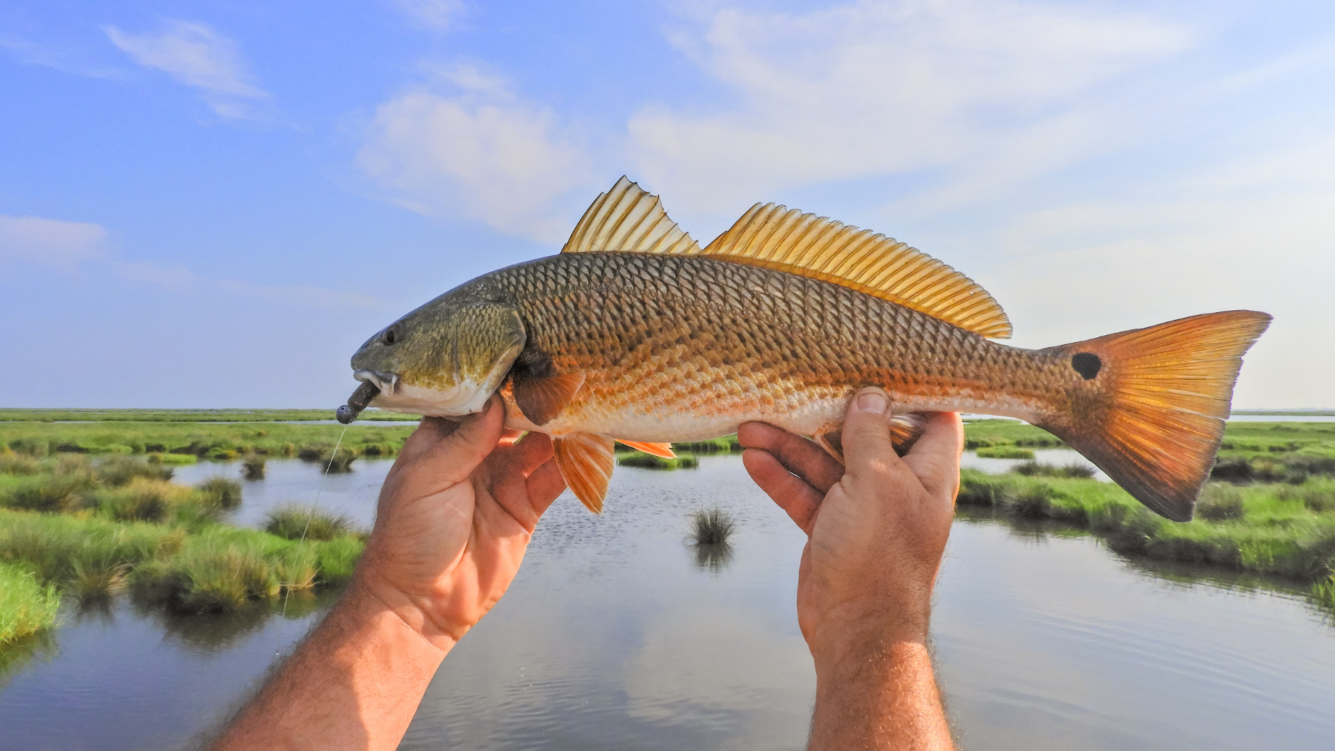 Best Bayou Redfishing with a World Champion | Penn® Fishing