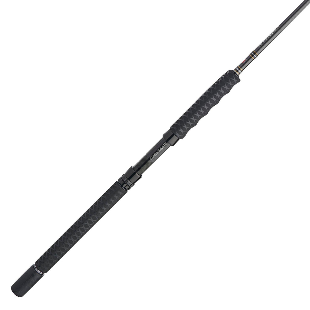 Saltwater Fishing Rods | PENN Fishing®️ US