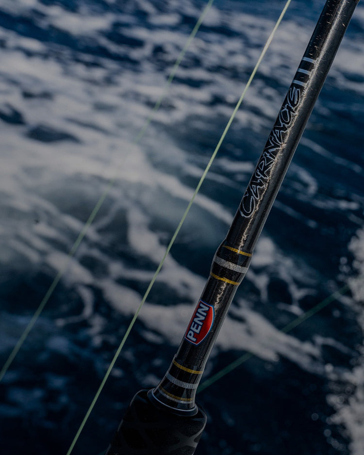 PENN Saltwater Fishing Gear, Fishing Tackle & Supplies