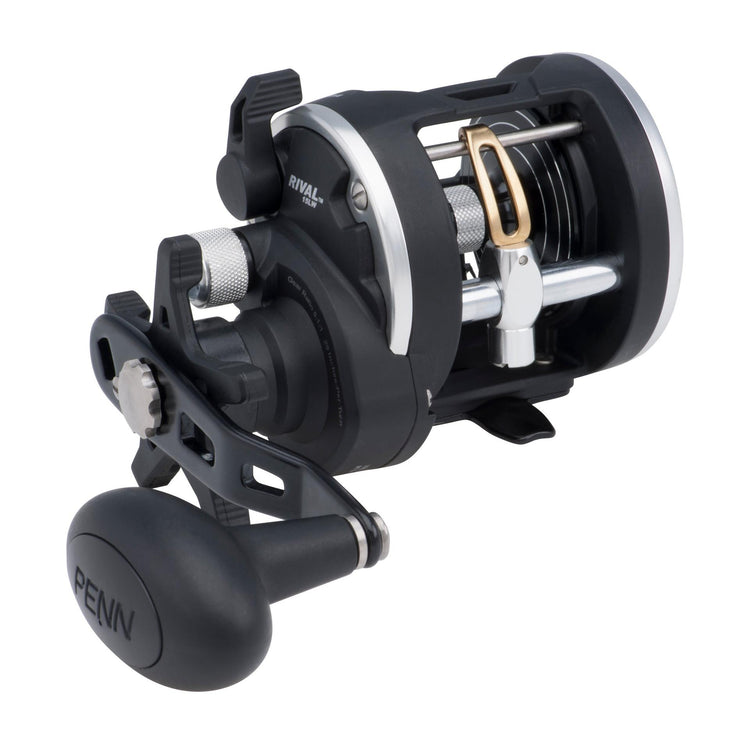 Conventional Reels | PENN Fishing®️ US